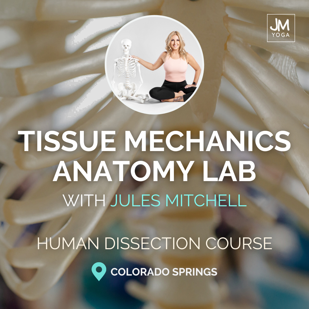 Yoga Anatomy: Exploring Human Connective Tissue - Jules Mitchell Yoga
